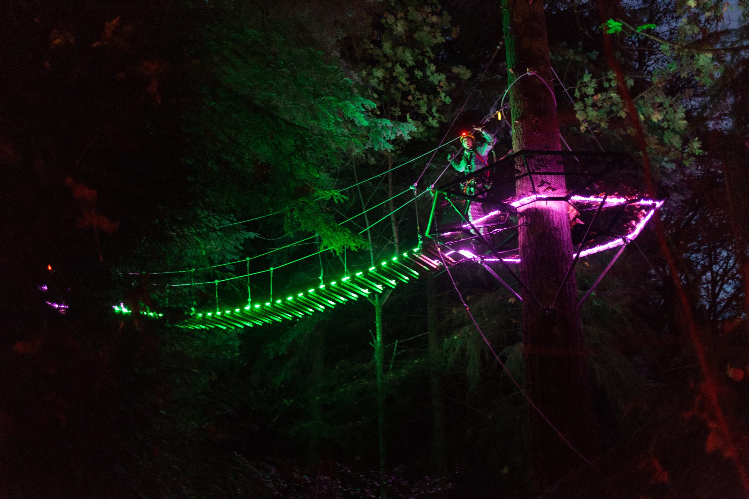 Fly High with Fall Zip Lining | Seattle's Child