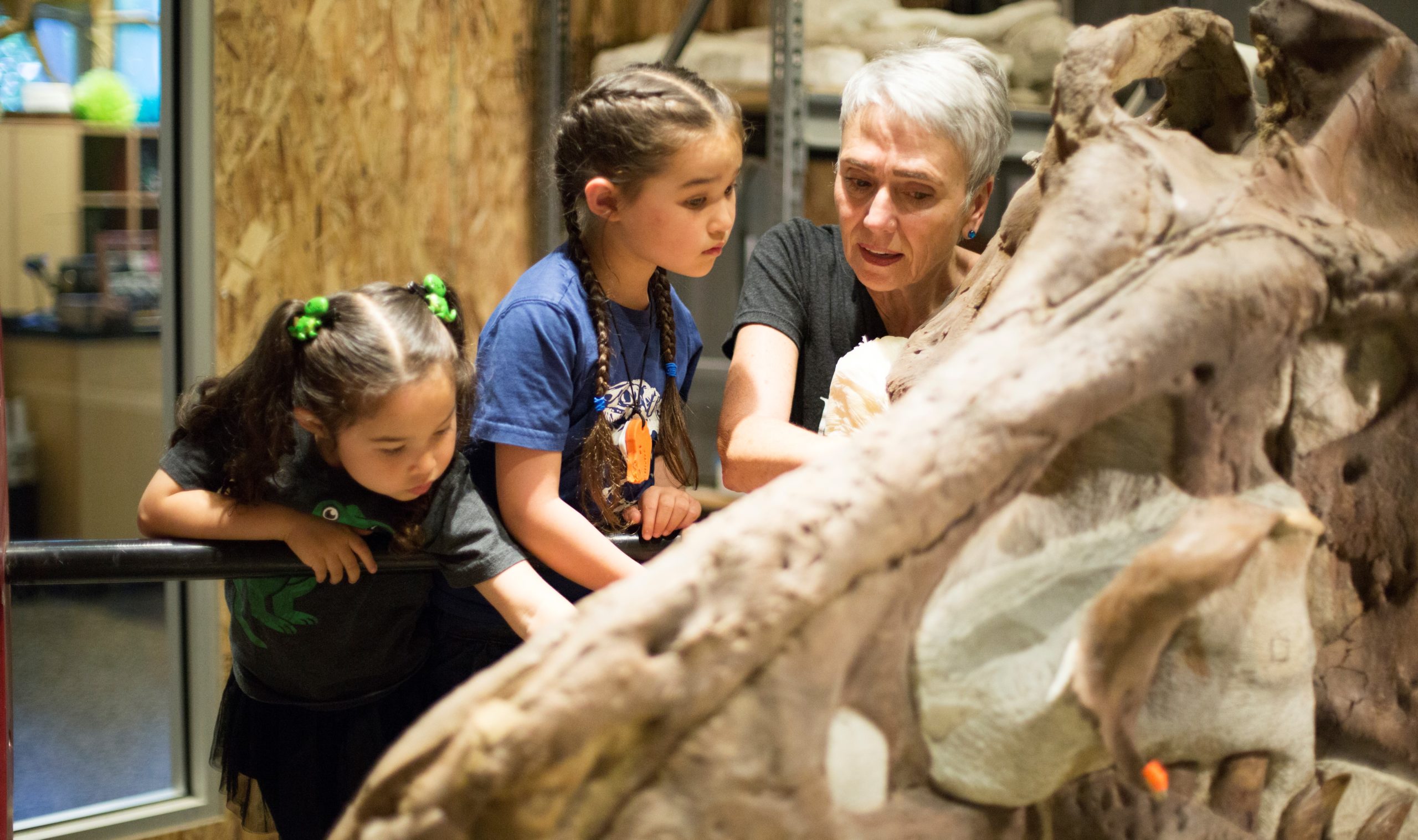 A real T. rex skull, and dinosaur-themed fun for kids, at Seattle's ...