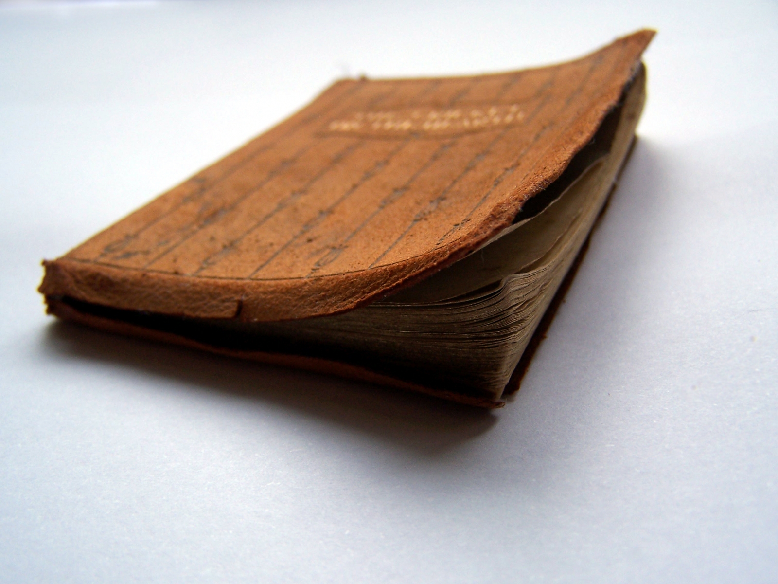 ‘A Boy Called Dickens’: The Story Behind the Great Storyteller ...