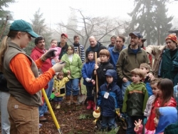 Green Seattle Helps Keep Seattle Forests Green | Seattle's Child
