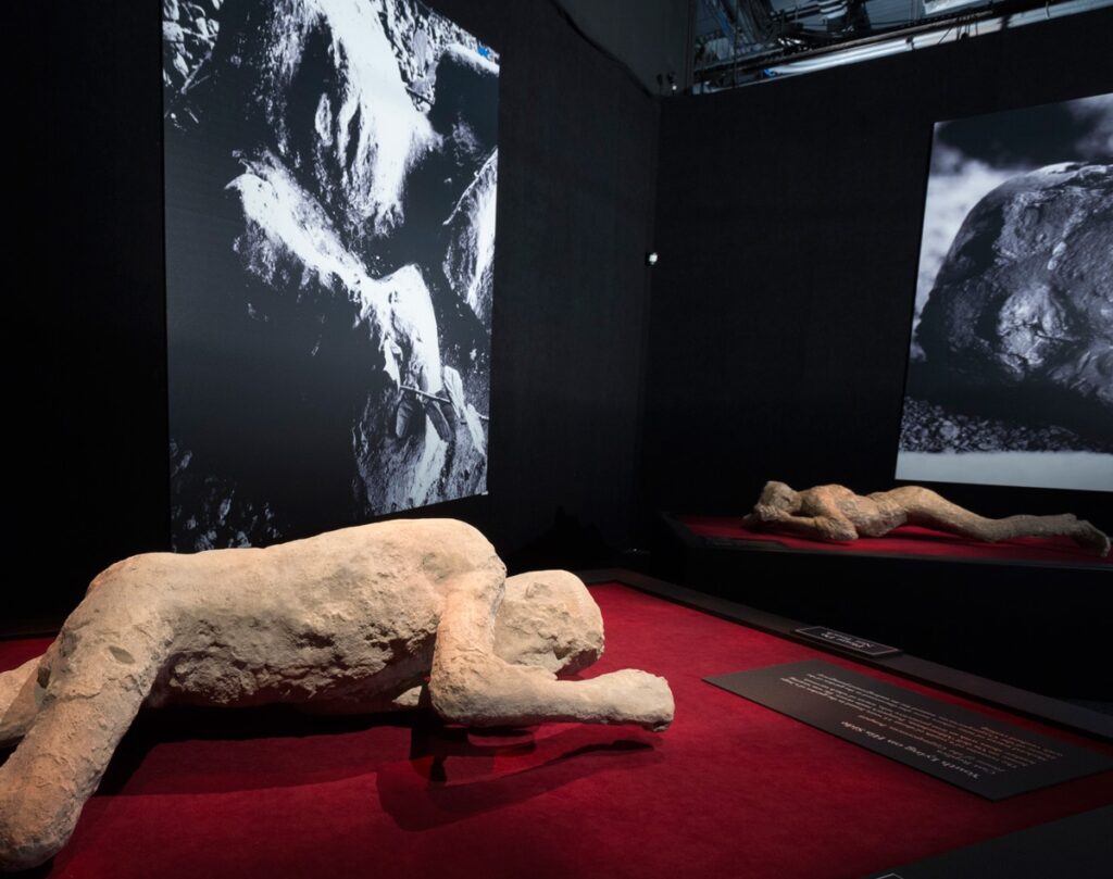 A parent’s review: “POMPEII: The Exhibition” | Seattle's Child