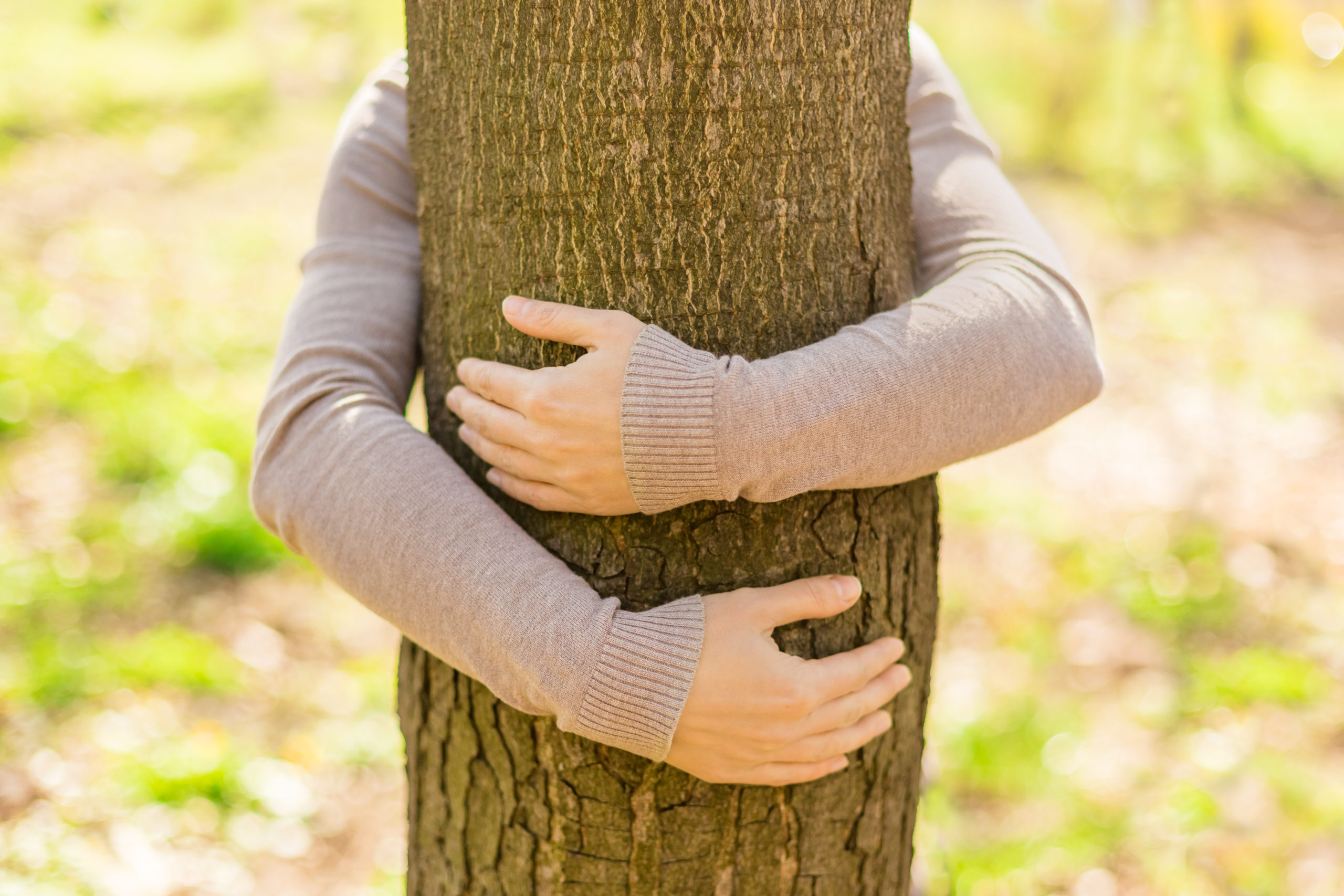 Happy Earth Day! Hug a tree with your kid! | Seattle's Child