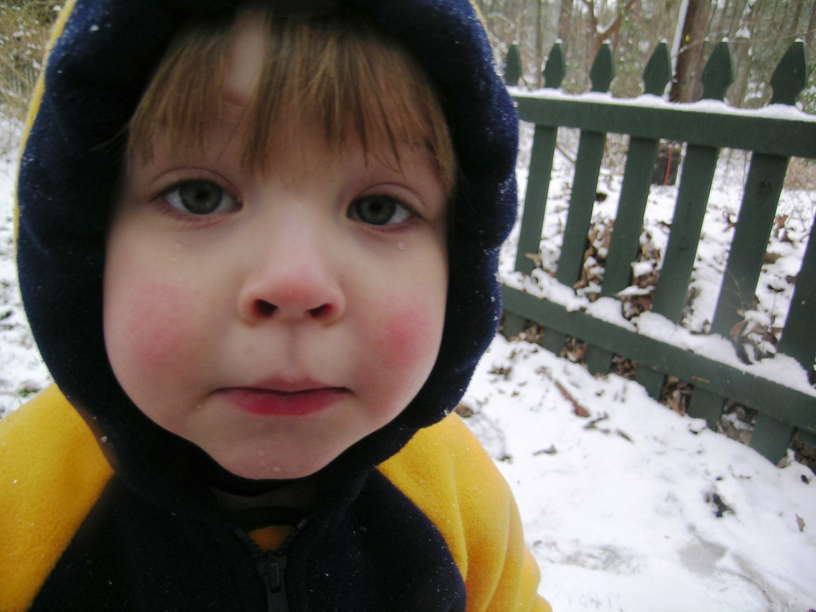 Winter Escapes With Toddlers Seattle s Child winter-escapes-with-toddlers-seattle-s-child