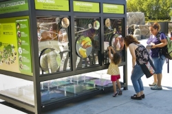 New “Quarters for Conservation” Program Opens at Woodland Park Zoo ...