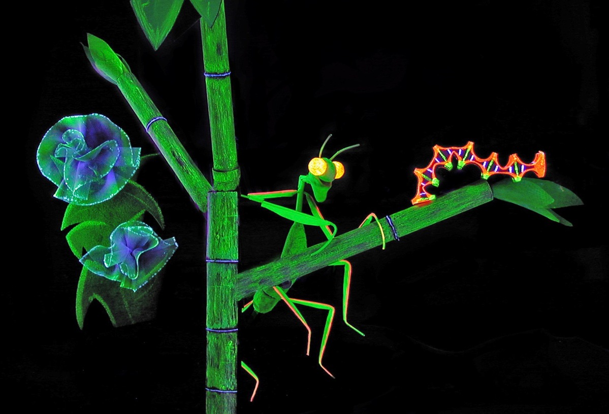 Streaming puppet show: 'The Secret Life of Bugs' | Seattle's Child