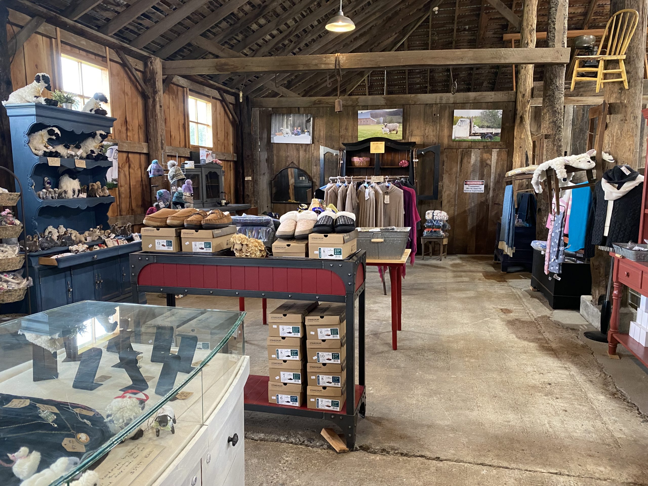 San Juan Island family fun: Visiting a sheep farm | Seattle's Child