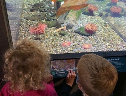 Visit the newly expanded Imagine Children’s Museum | Seattle's Child