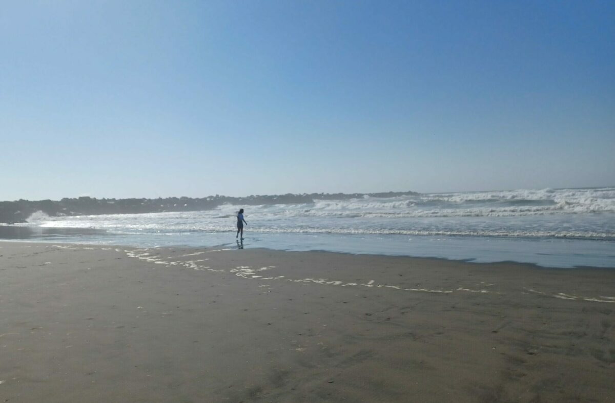10 things to do with kids in Ocean Shores | Seattle's Child